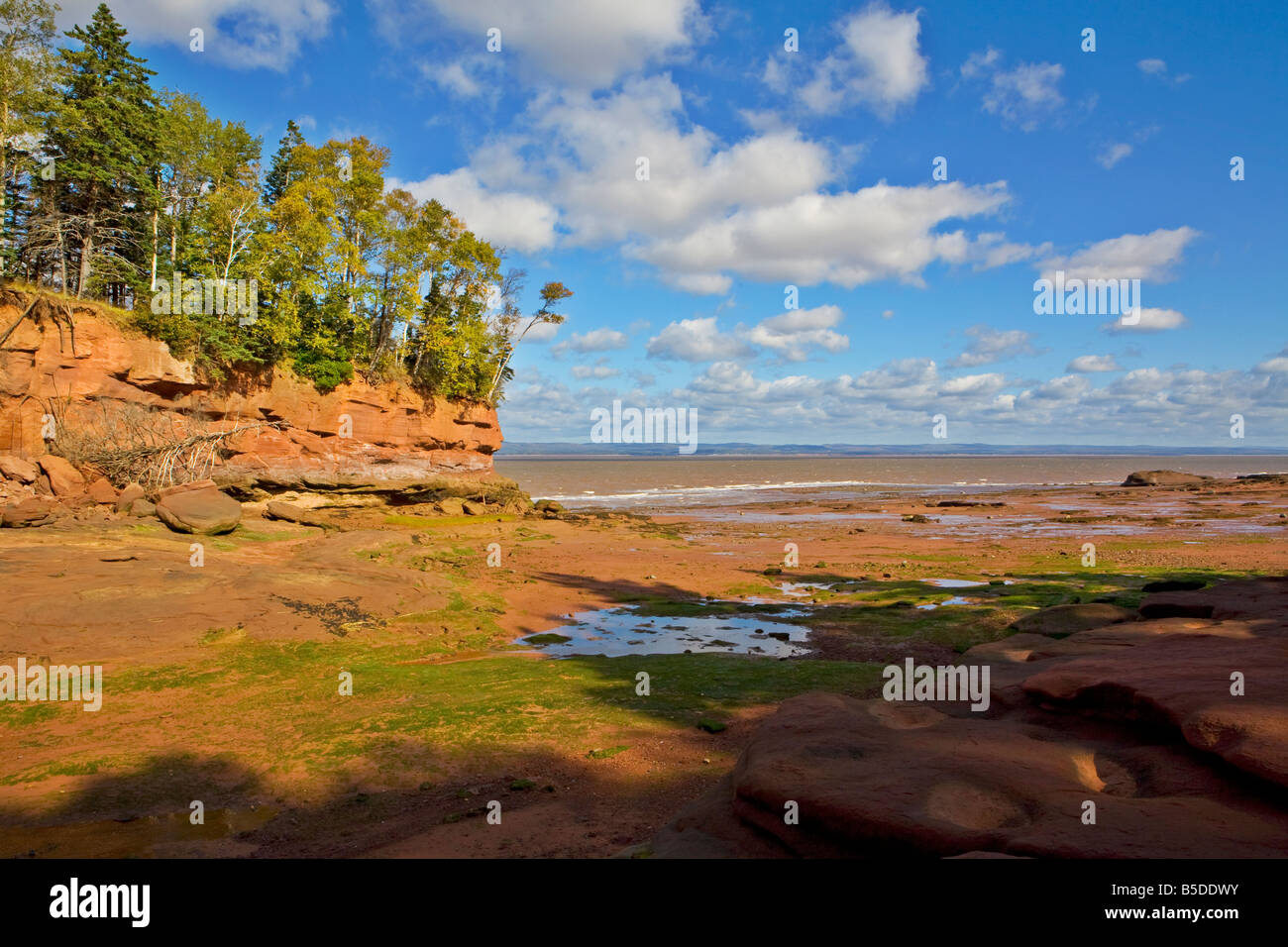 Cobequid bay hi-res stock photography and images - Alamy