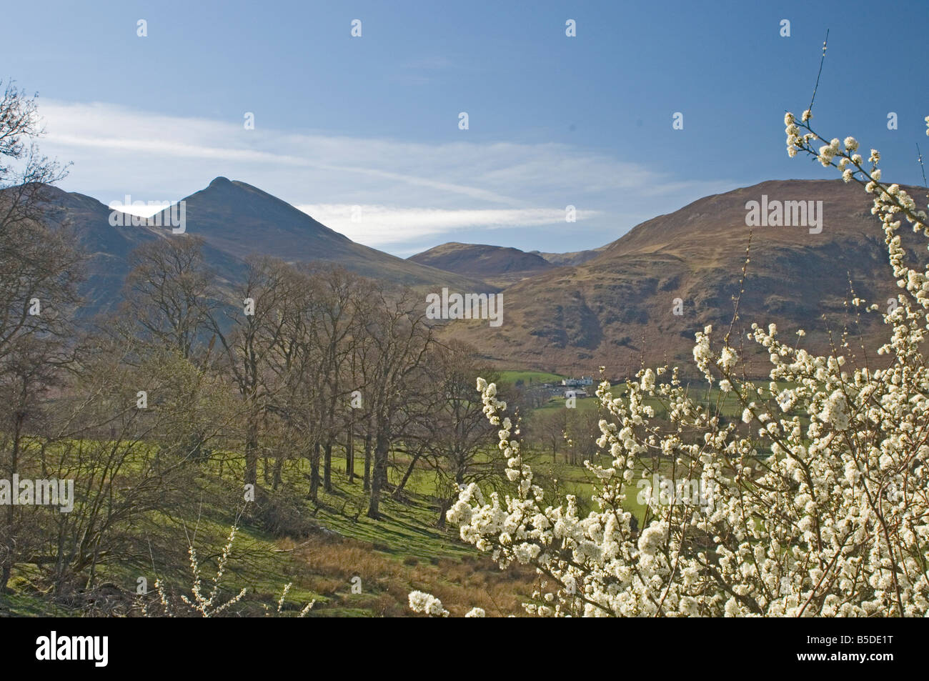 View across Newlands Valley to Causey Pike, Lake District National Park ...