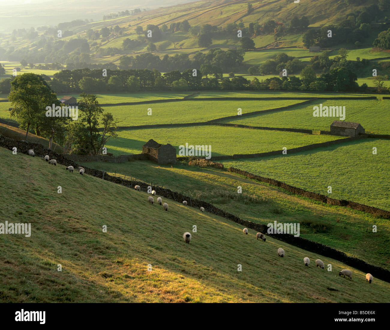 Gunnister hi-res stock photography and images - Alamy