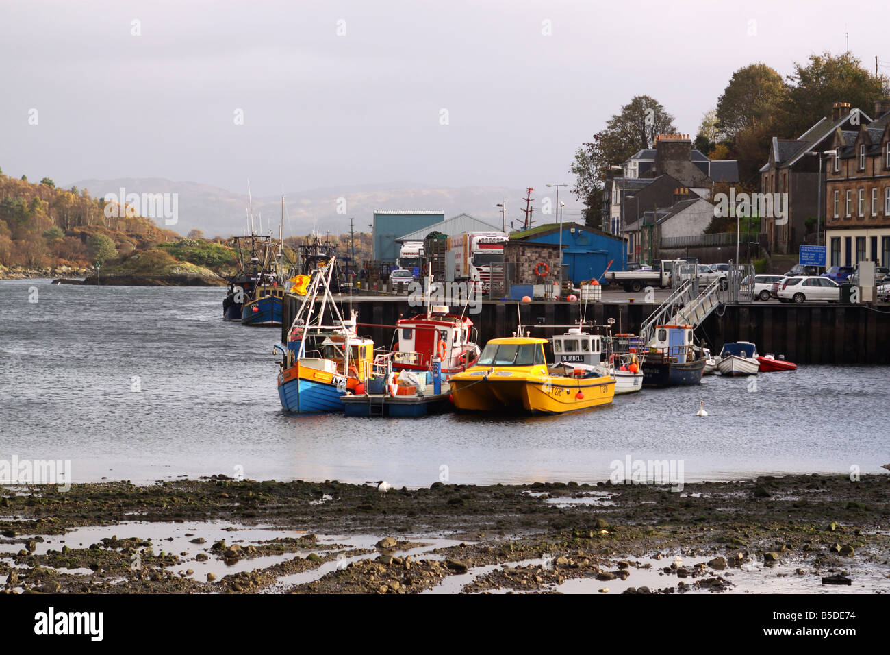Tarbet Loch Fyne Scotland Stock Photo - Alamy
