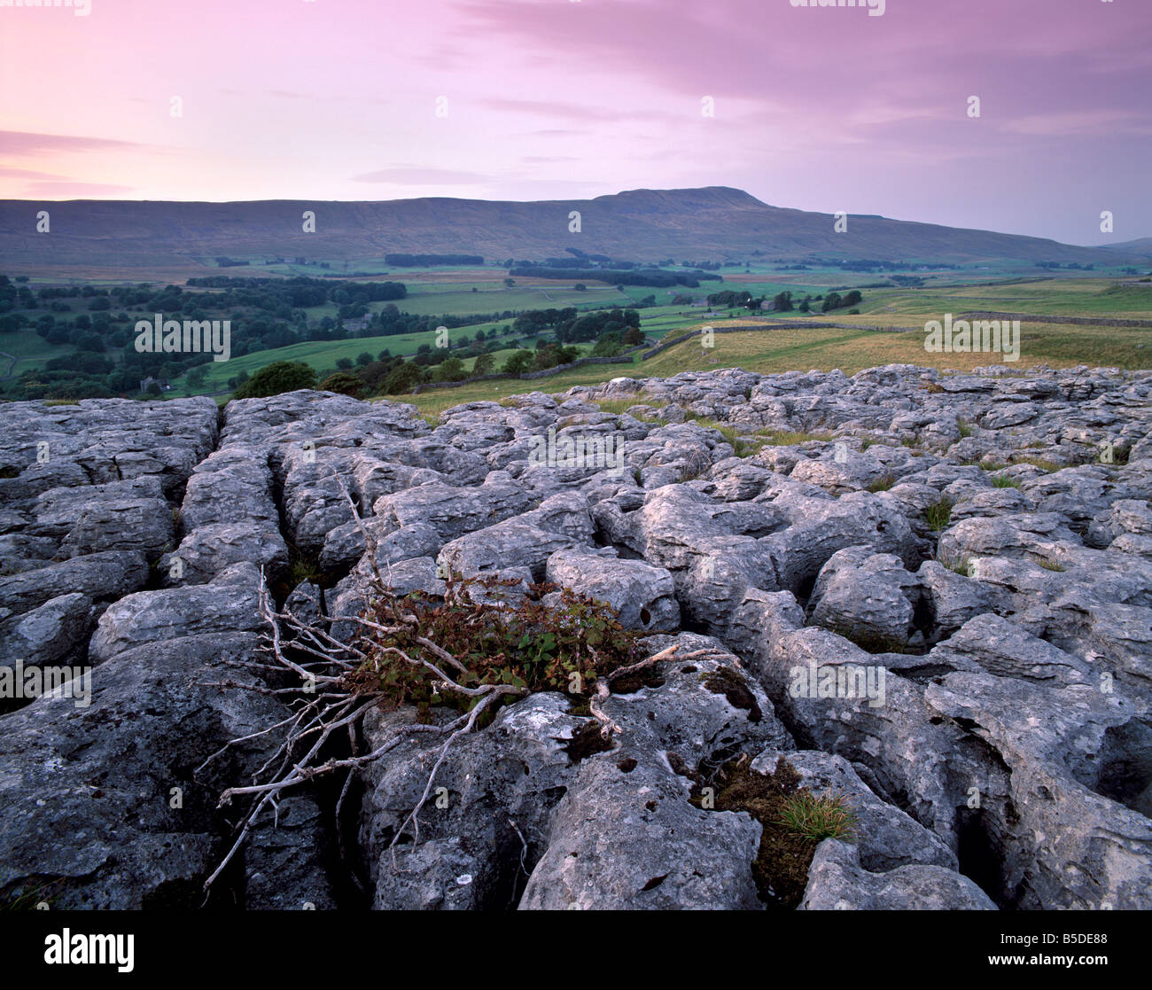 Limestone pavements near Chapel-le-Dale, Yorkshire Dales, National Park ...