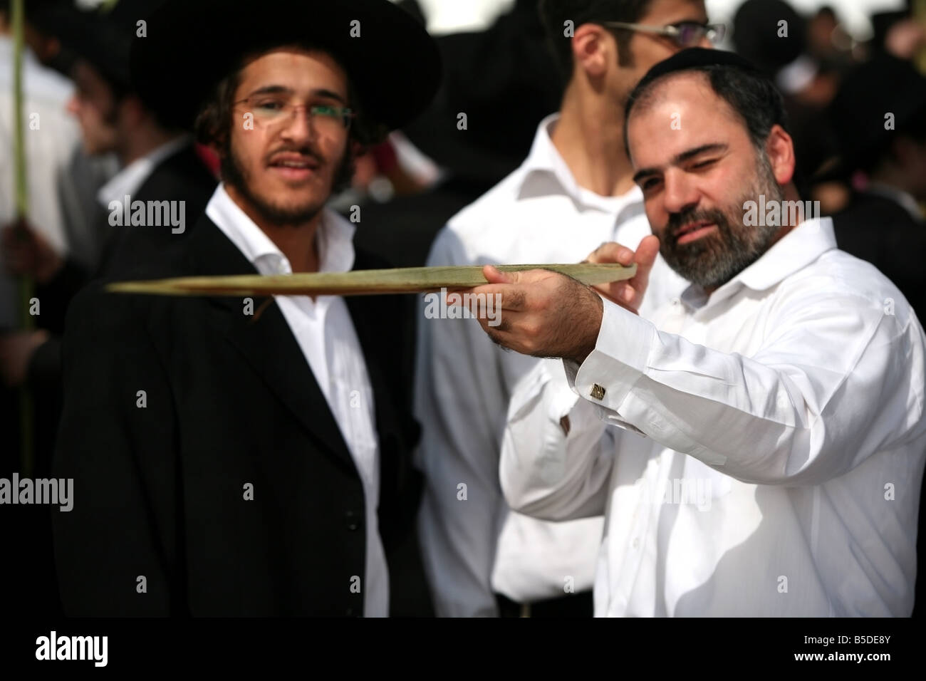 Lulav etrog symbolic in hi-res stock photography and images - Alamy