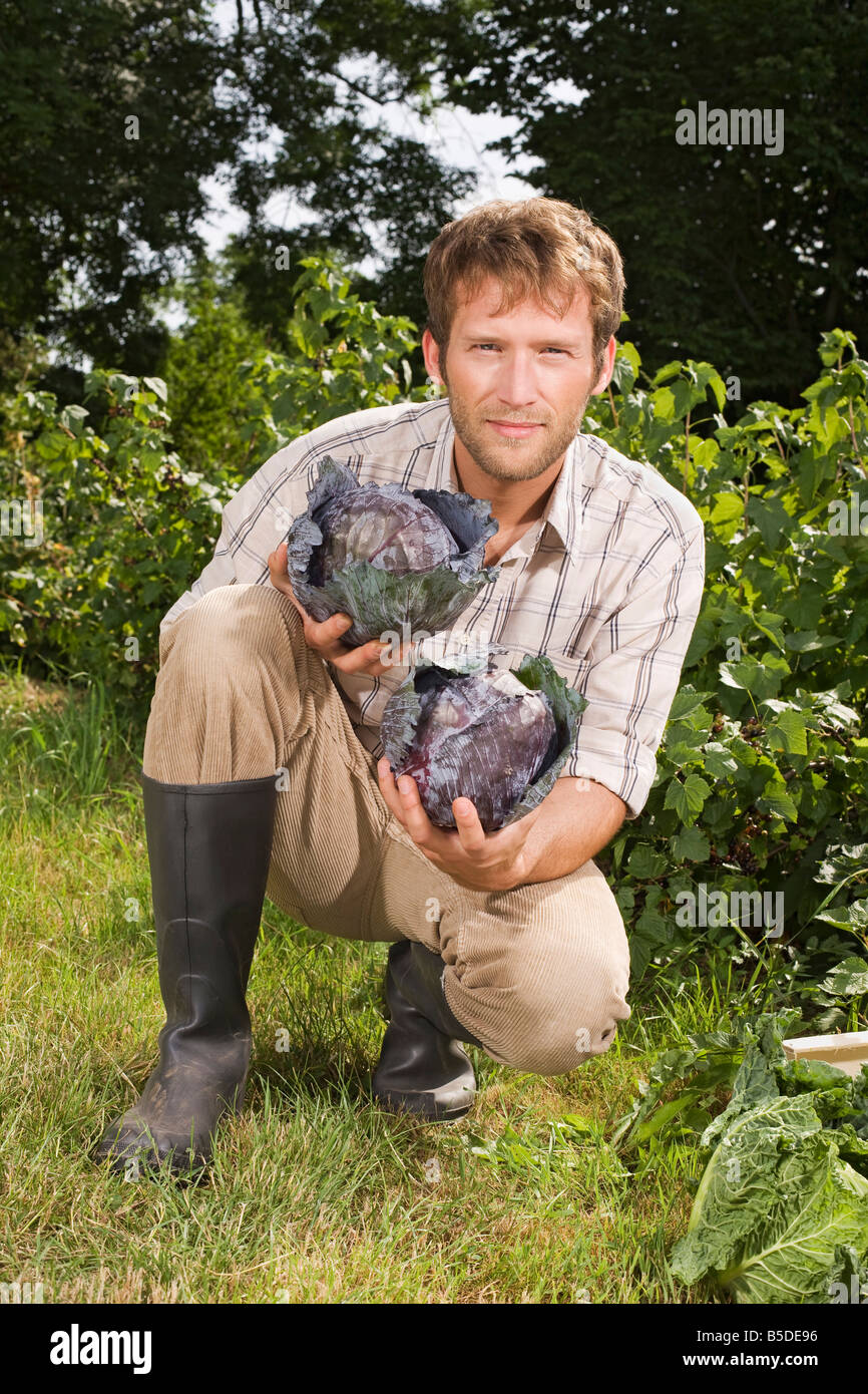 Cabbages only view hi-res stock photography and images - Alamy