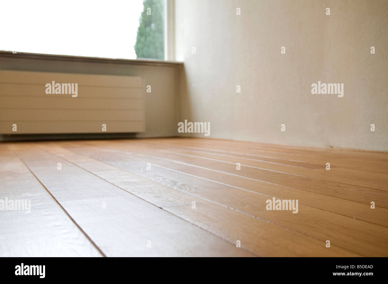 Part of an empty room cleaned before moving out Stock Photo - Alamy