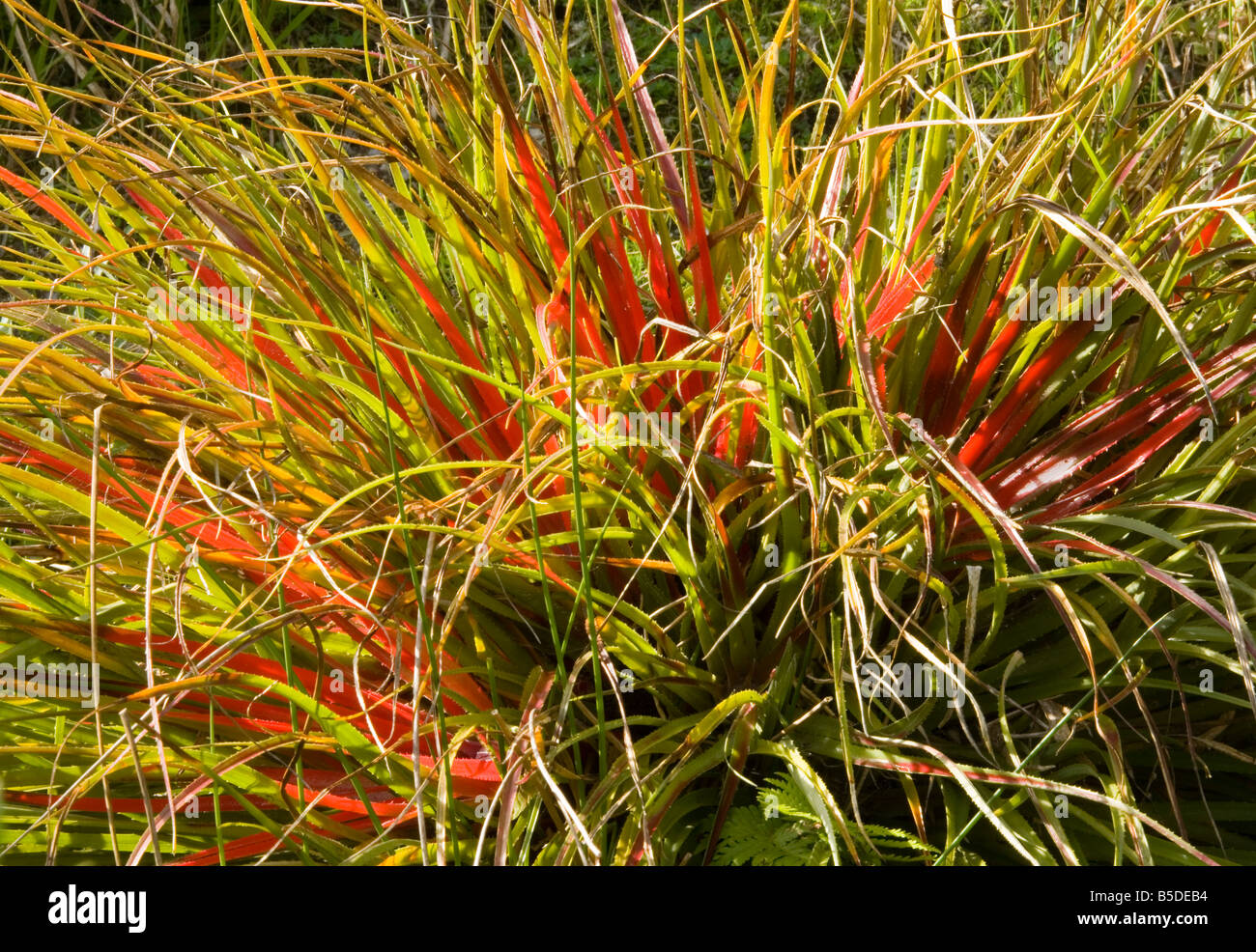 Julie mowbray hi-res stock photography and images - Alamy