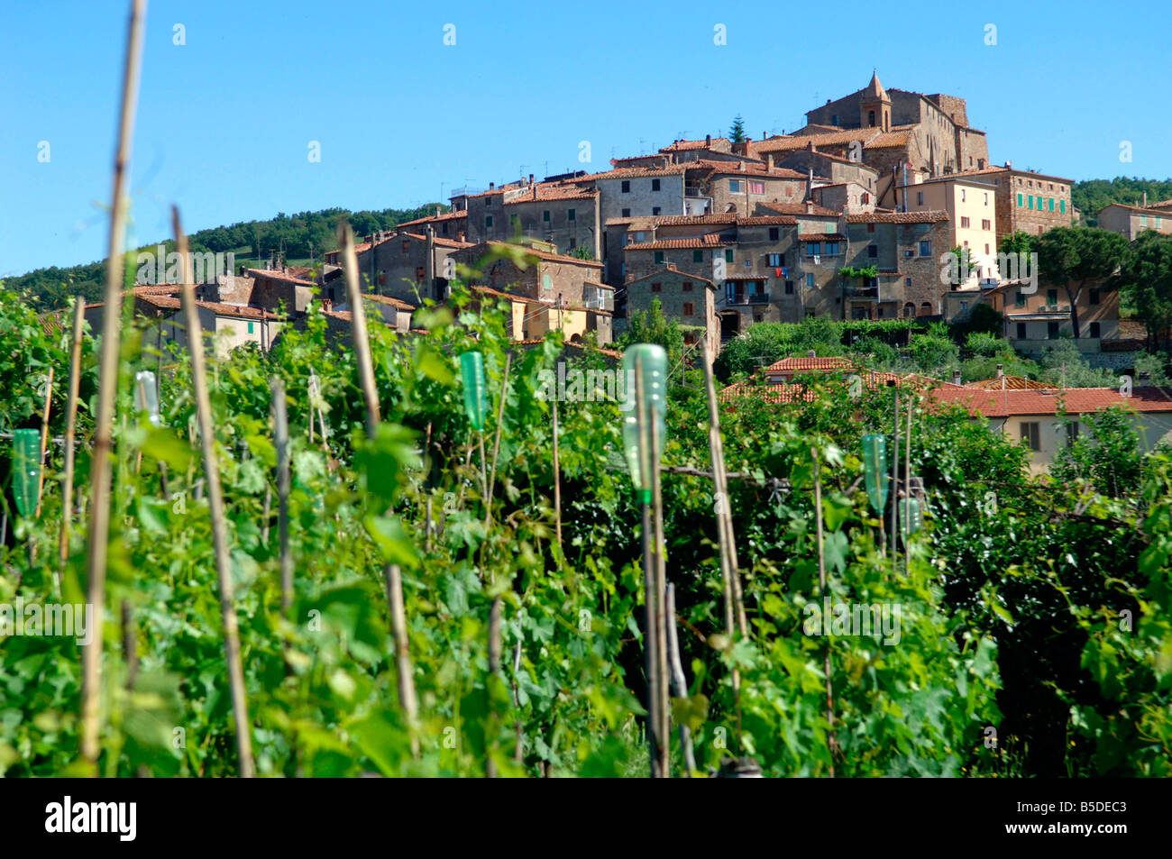 Tatti hi-res stock photography and images - Alamy