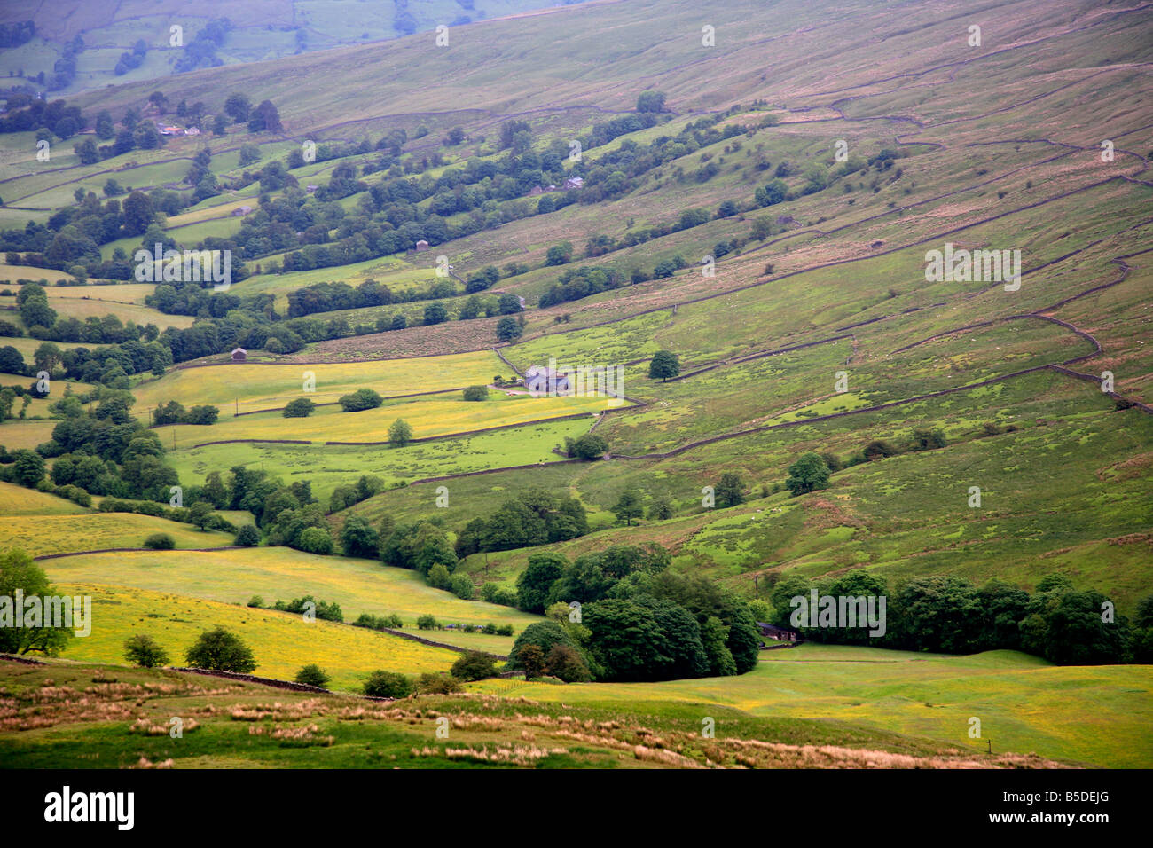 Summer Landscape Dentdale Valley Yorkshire Dales National Park Cumbria ...