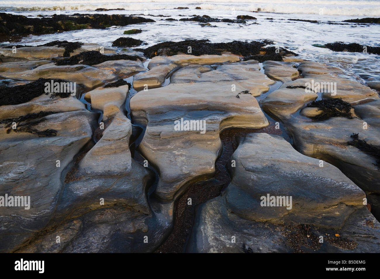 Spittal beach mouth of River Tweed near Berwick rocks on the tideline ...