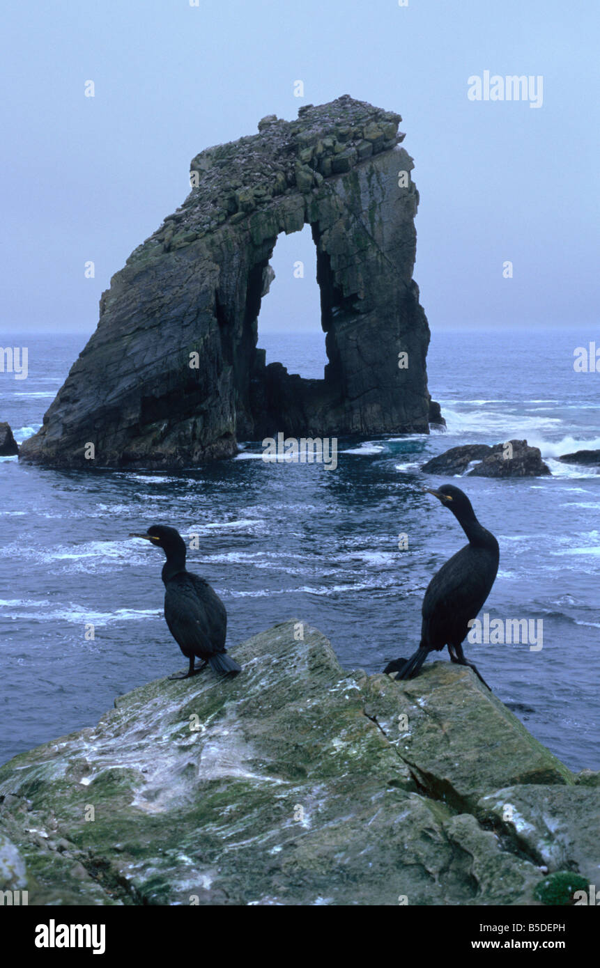 Shags gaada stack natural arch hi-res stock photography and images - Alamy