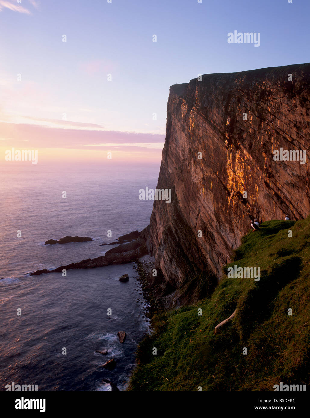 Foula shetland islands hi-res stock photography and images - Alamy