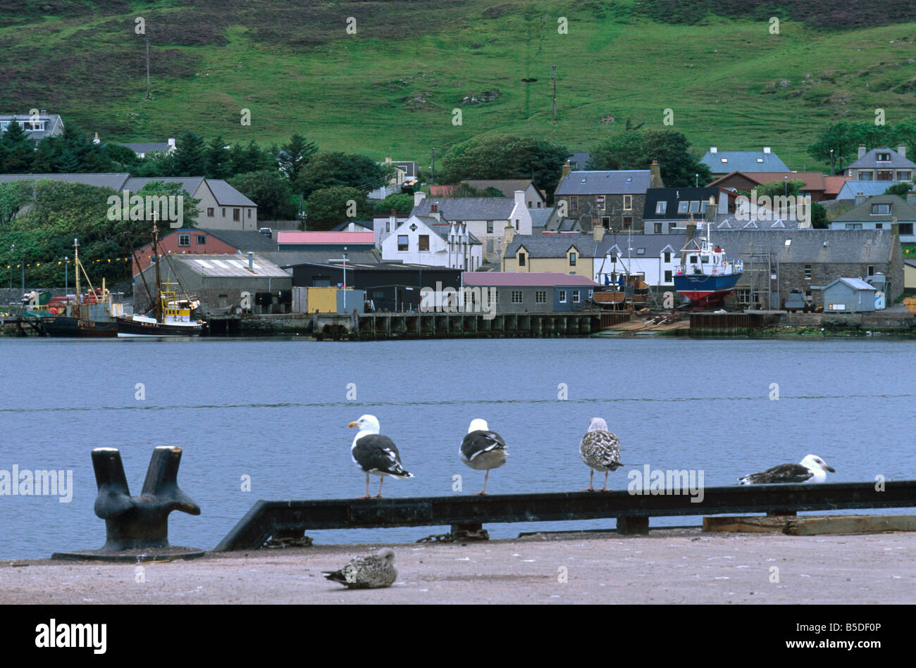 View of Scalloway harbour and Scalloway, Shetland Islands, Scotland ...