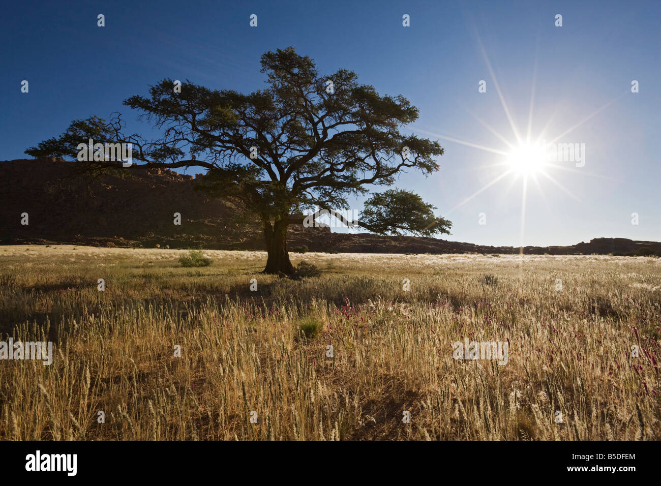 Africa, Namibia, Landscape Stock Photo - Alamy