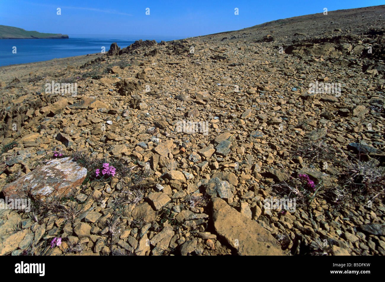 Keen of Hamar National Nature Reserve, Unst, Shetland Islands, Scotland ...