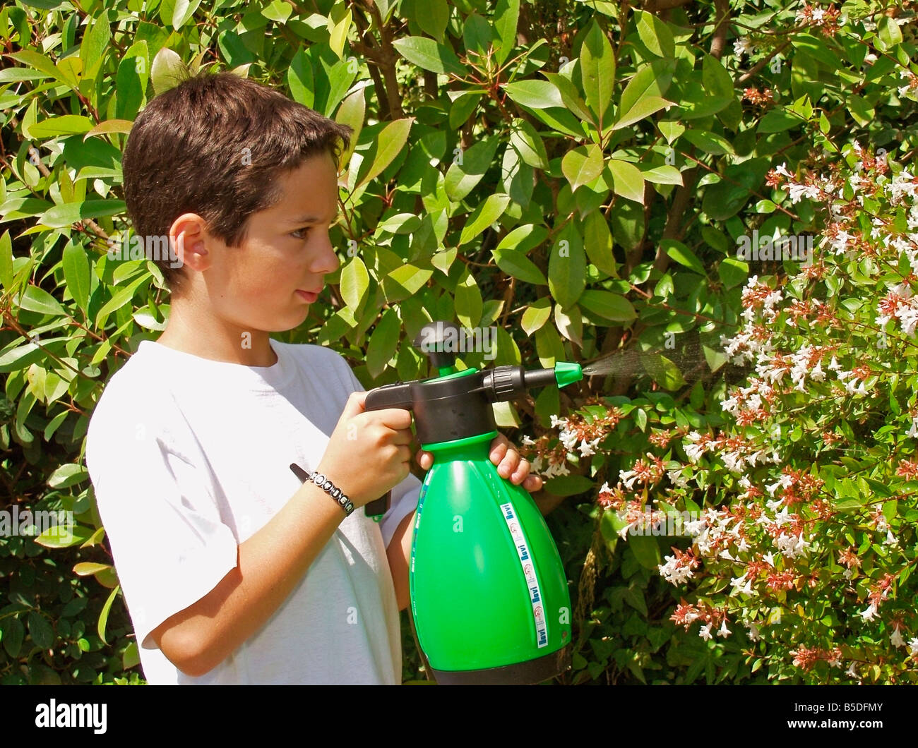 Boy spraying plants hi-res stock photography and images - Alamy