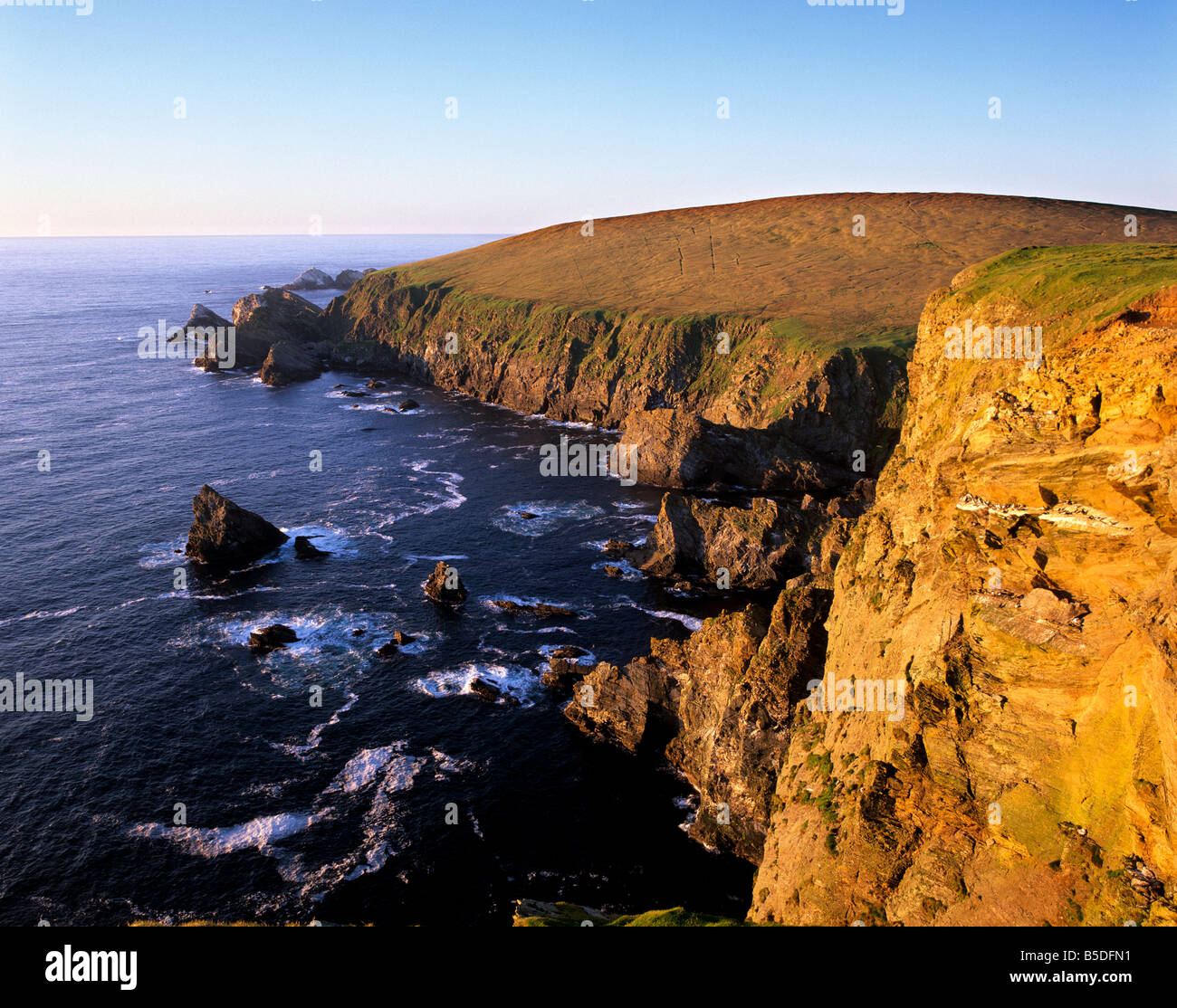 Shetlands nature reserve hi-res stock photography and images - Alamy