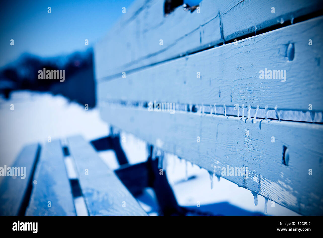 Frozen bench with blue hue and shallow depth of field Stock Photo - Alamy
