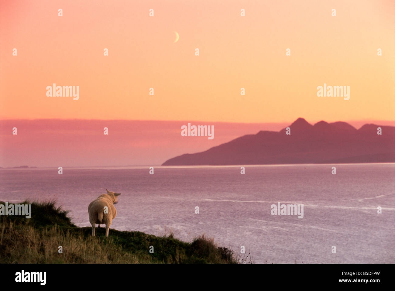 Isle of rum hi-res stock photography and images - Alamy