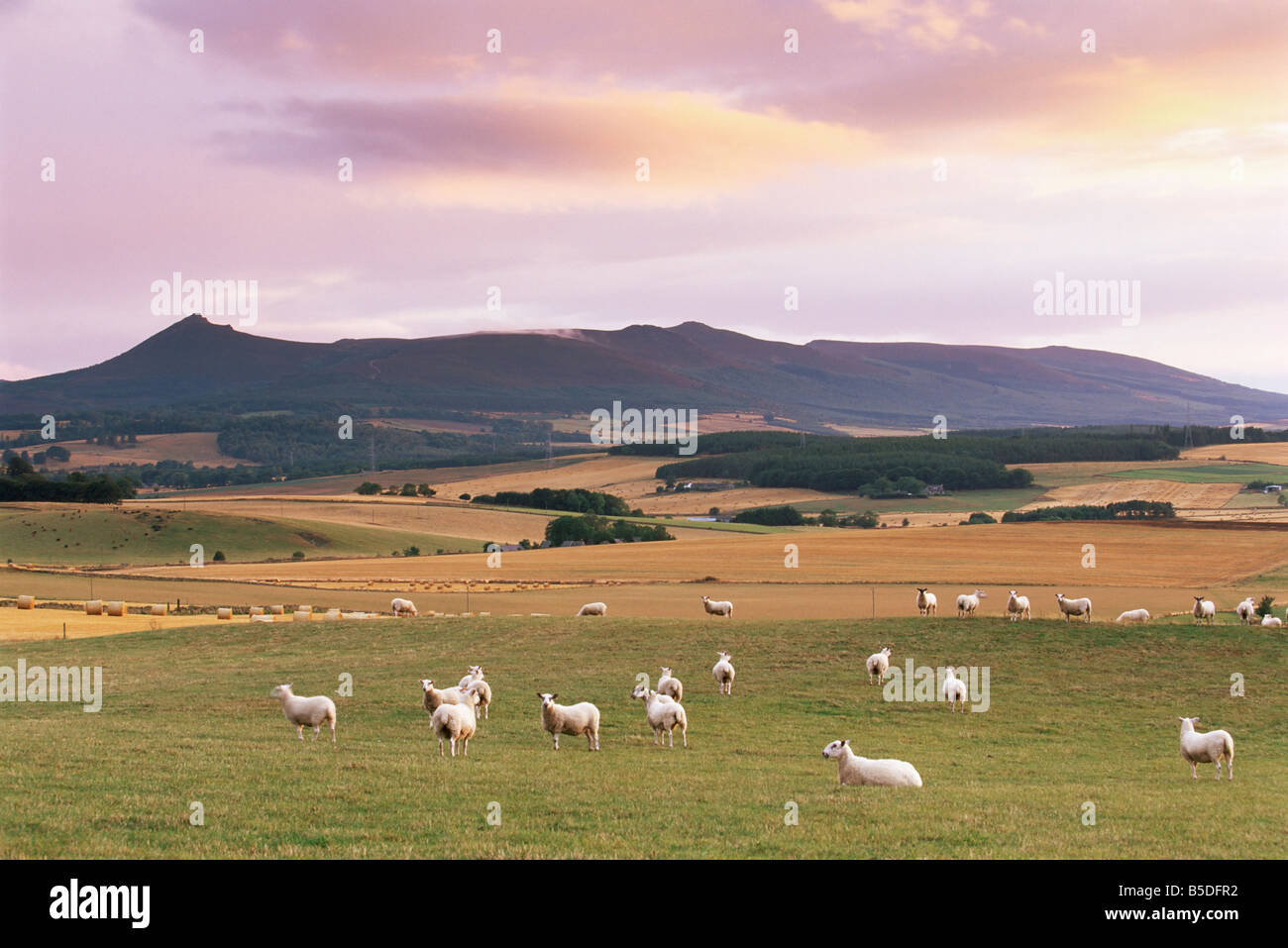 Oldmeldrum hi-res stock photography and images - Alamy