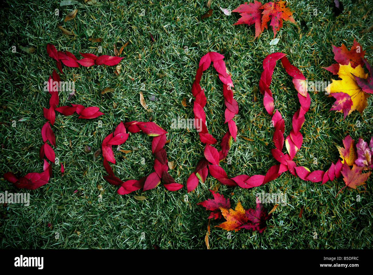 Fall Word High Resolution Stock Photography and Images - Alamy