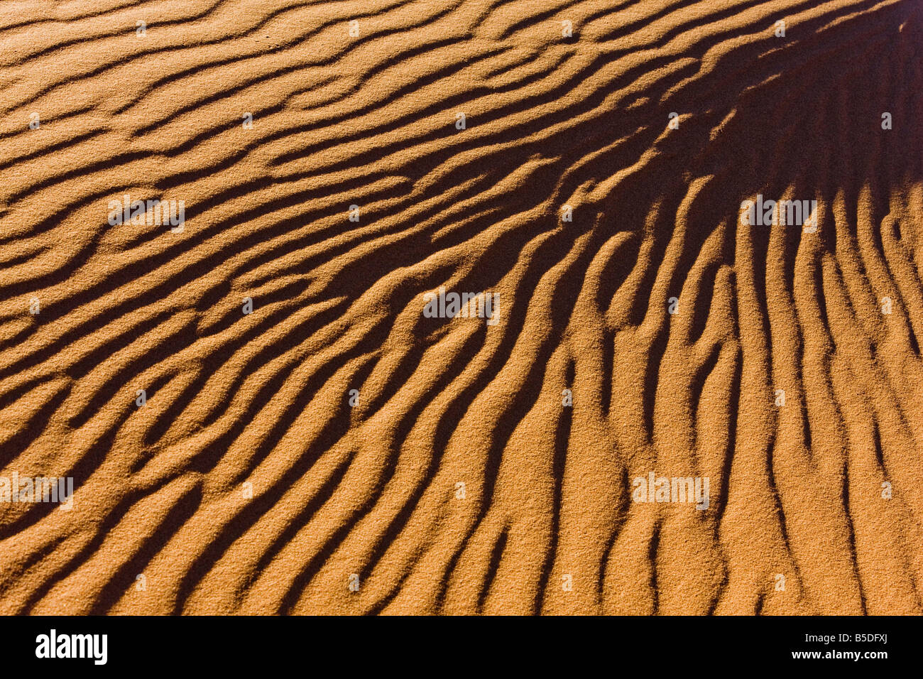 Africa, Namibia, Namib Desert, Dune structures, full frame Stock Photo ...