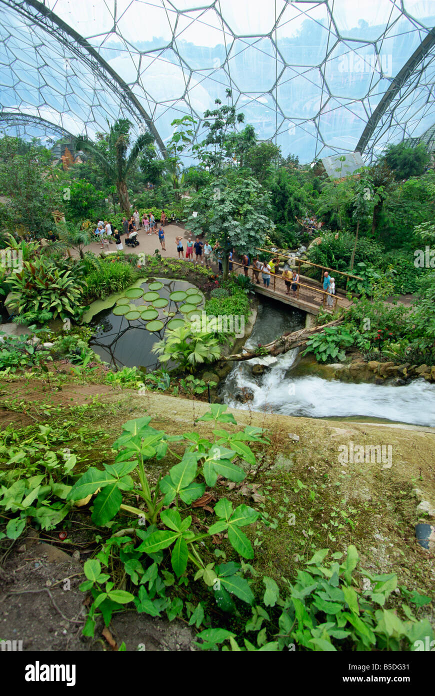 Inside the Humid Tropics biome at the Eden Project, opened in 2001 at a ...