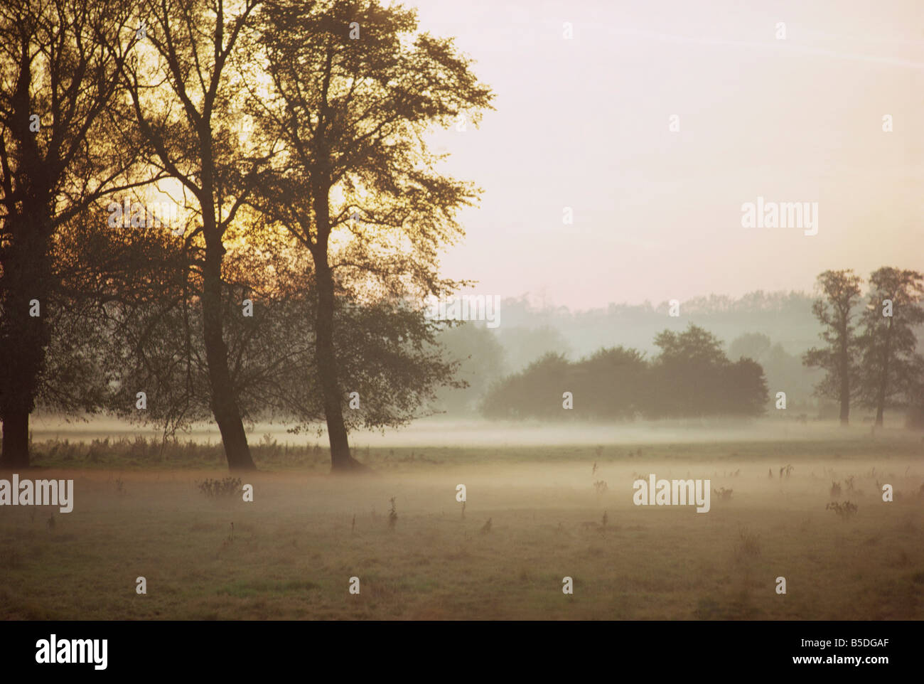 Essex england britain hi-res stock photography and images - Alamy