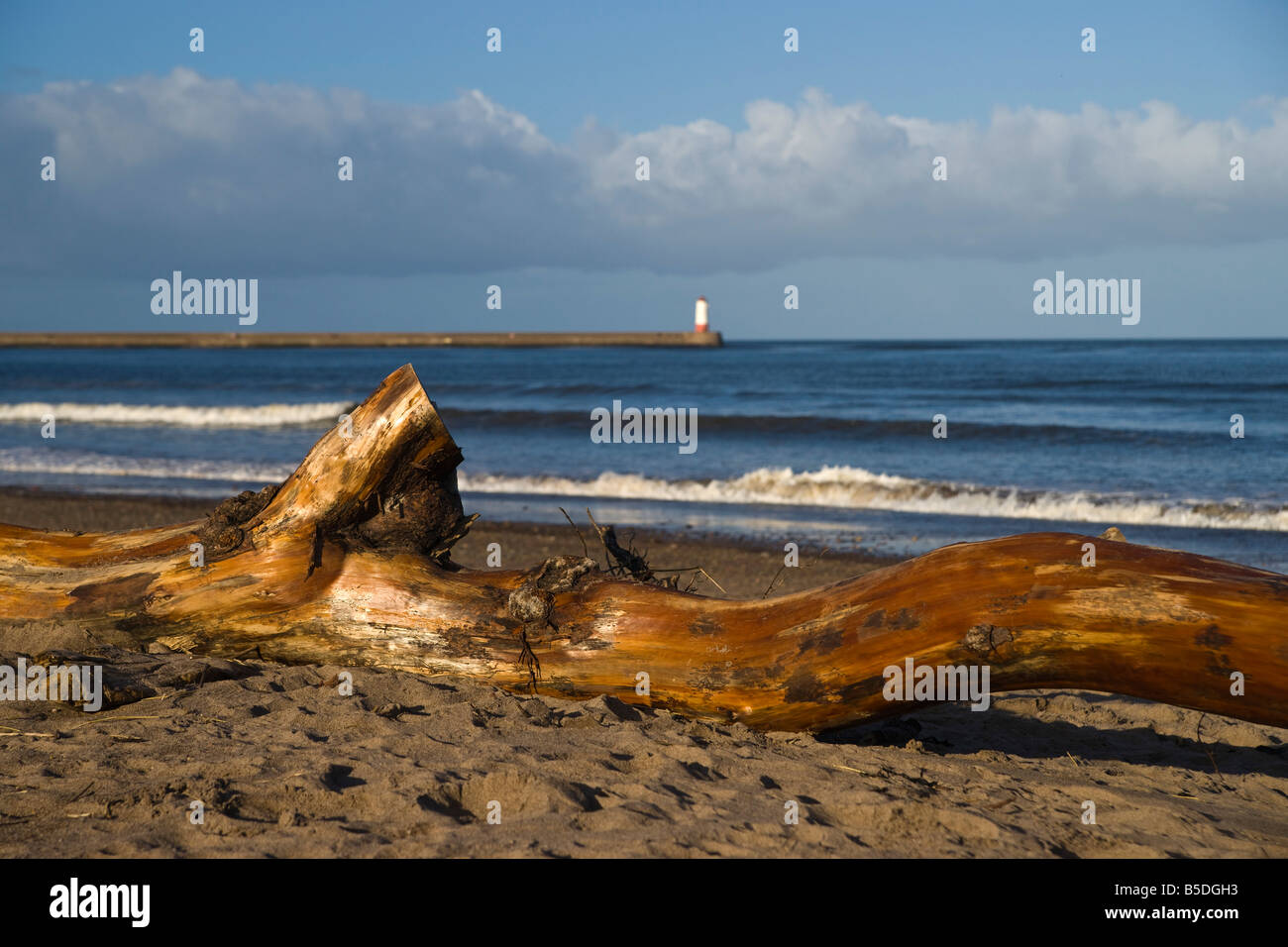 Tweedmouth lighthouse hi-res stock photography and images - Alamy