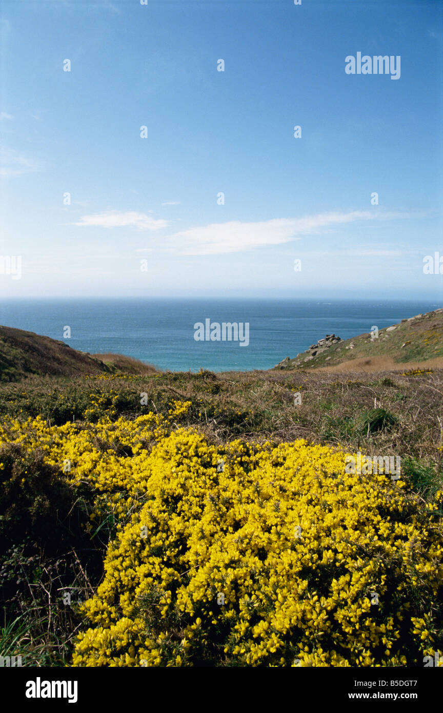 Logan Rock Cornwall England United Kingdom Europe Stock Photo - Alamy