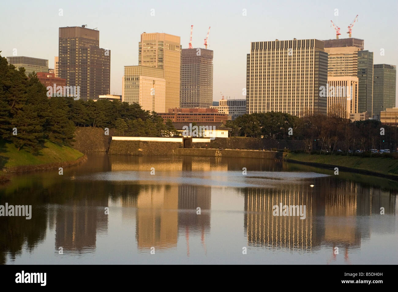 Skyscrapers stand over the Kitanomaru Park in Tokyo, Japan. The ...