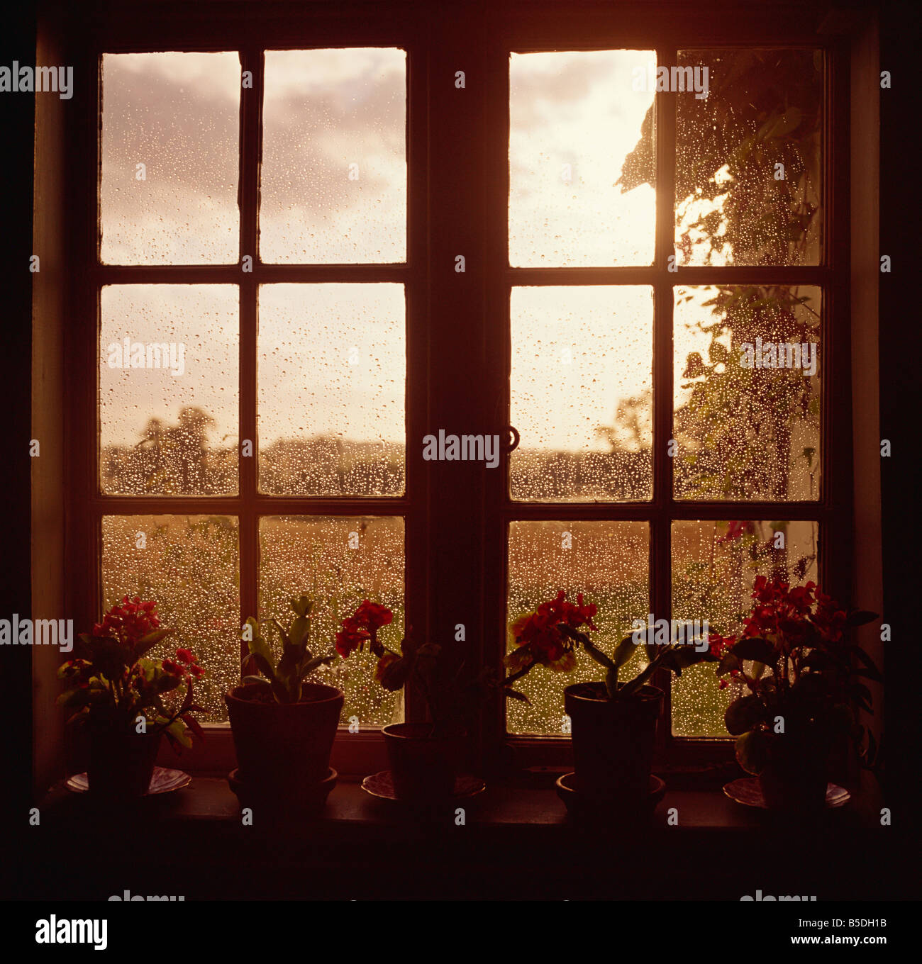 Rain on window England United Kingdom Europe Stock Photo - Alamy