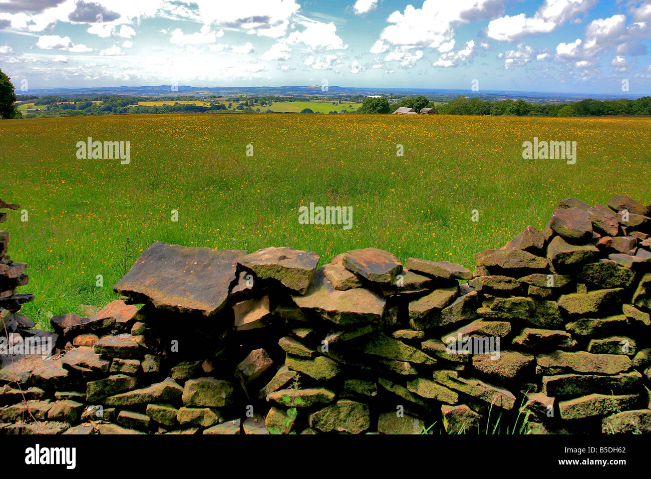 Landscape at Anglezark Moor Lancashire County England UK Stock Photo ...