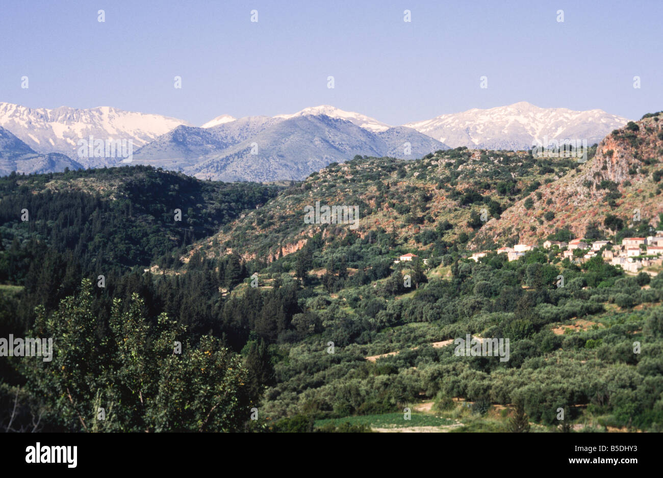 Typical landscape with the white mountains of the province Chania Crete ...