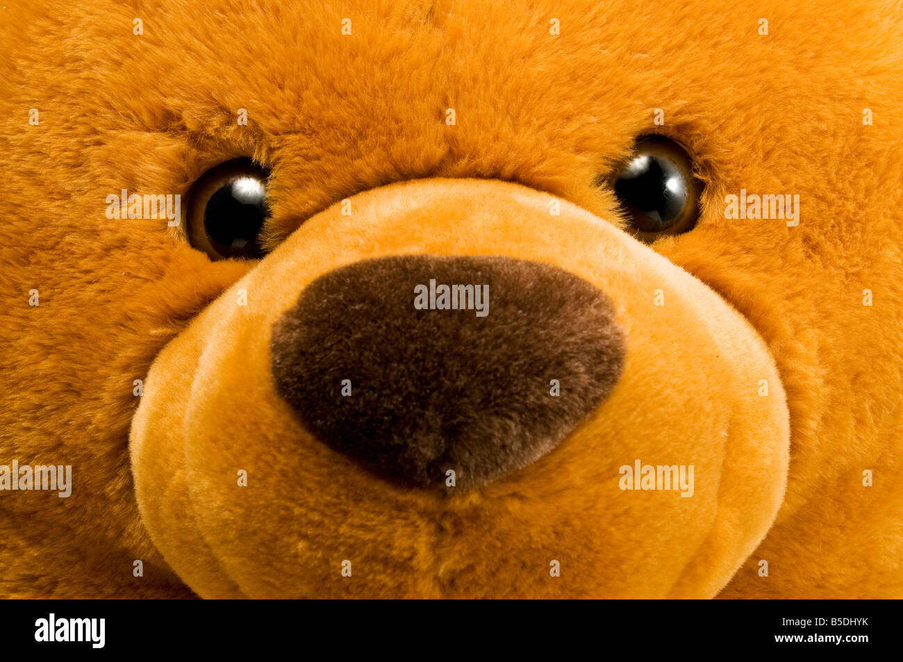 Teddy bear head detail Stock Photo - Alamy