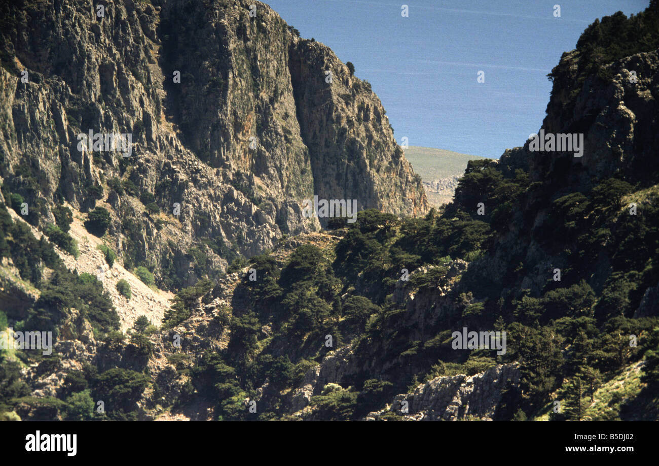 Gorge in the province Chania Crete Greece Stock Photo - Alamy