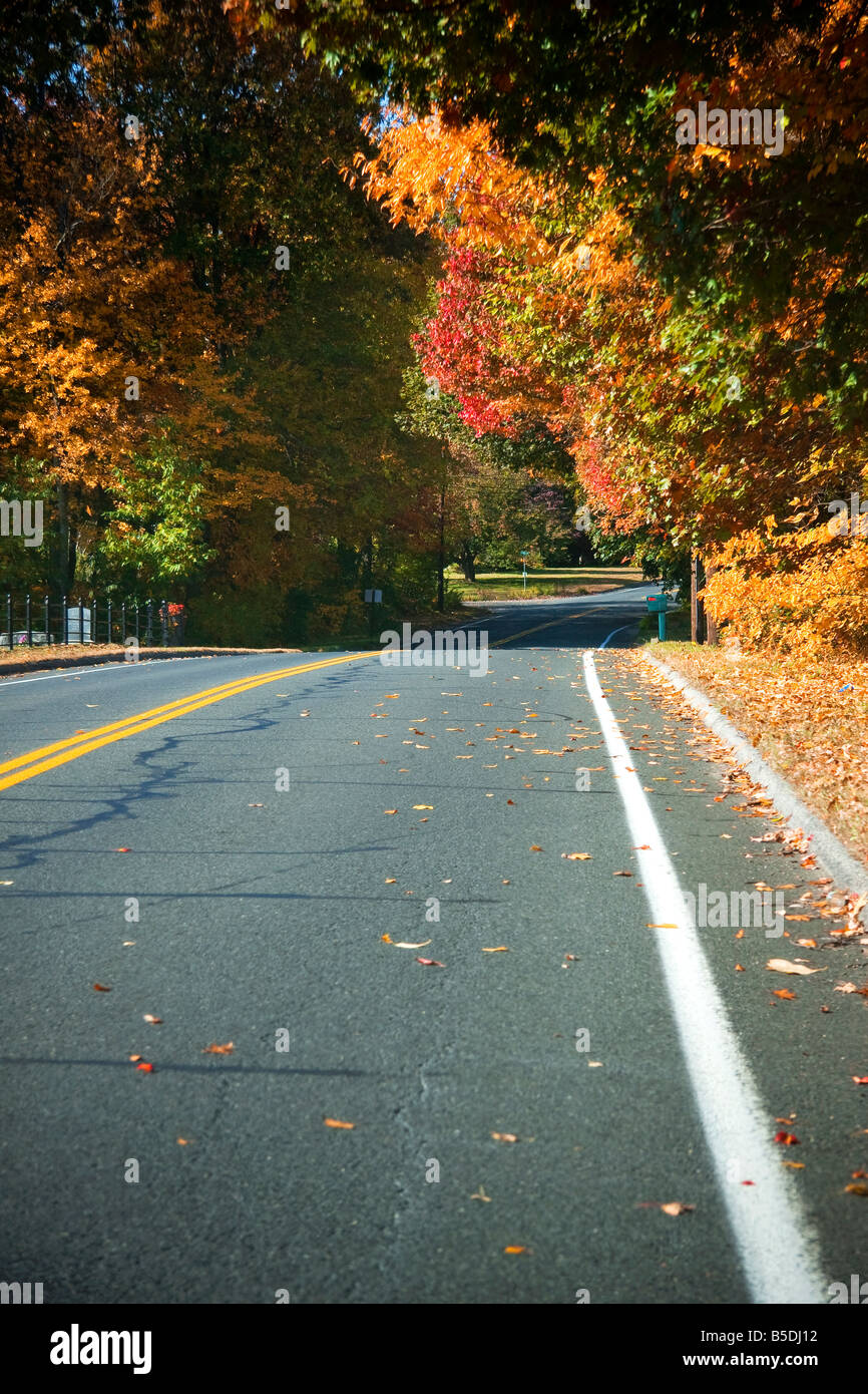 An empty road with diminishing perspective during the fall season Stock ...