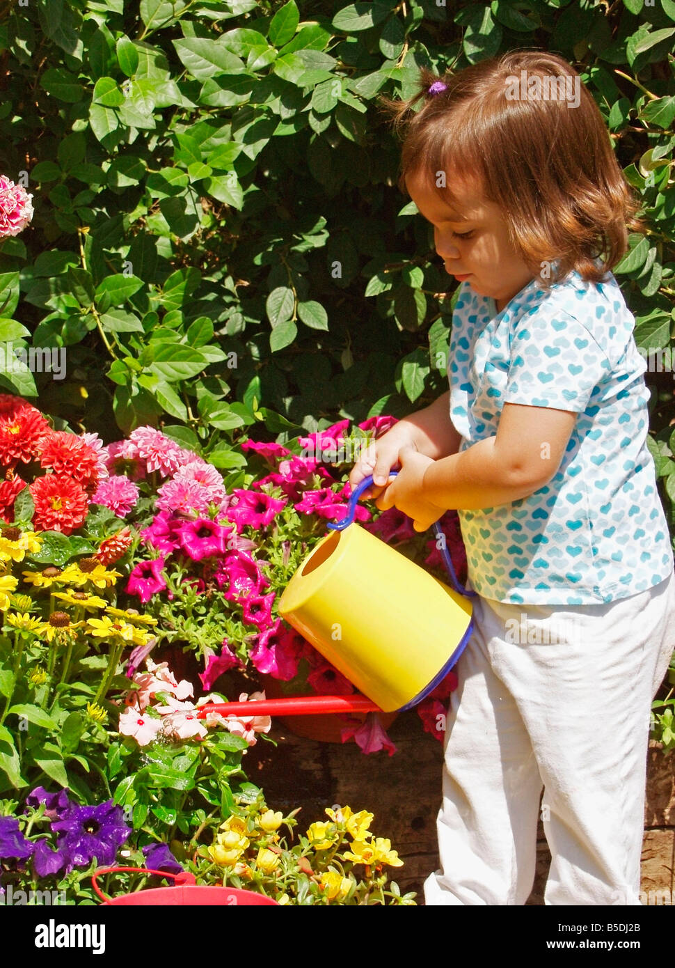Water dripping down leaf hi-res stock photography and images - Alamy