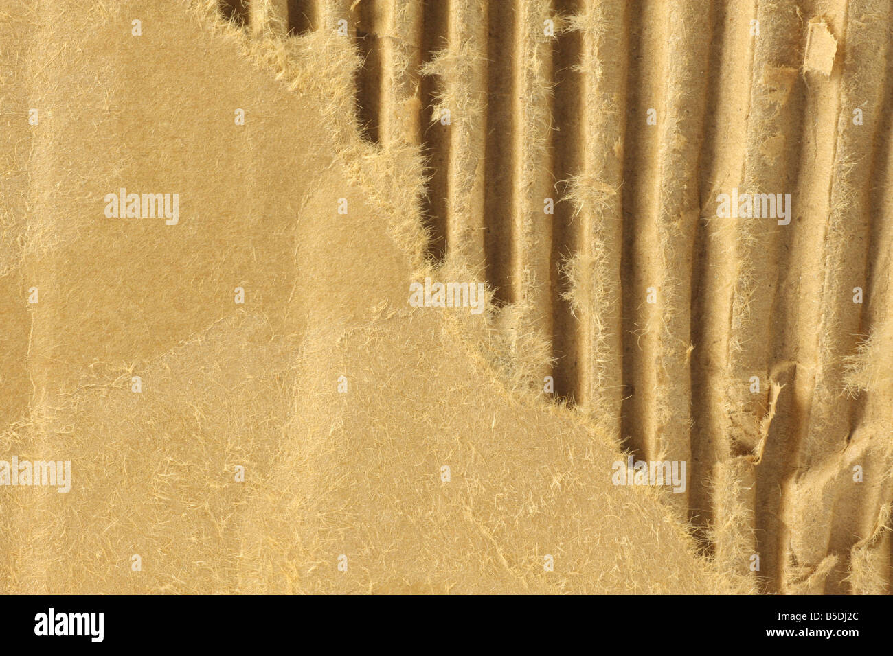 Torn Cardboard Texture Stock Photo - Alamy