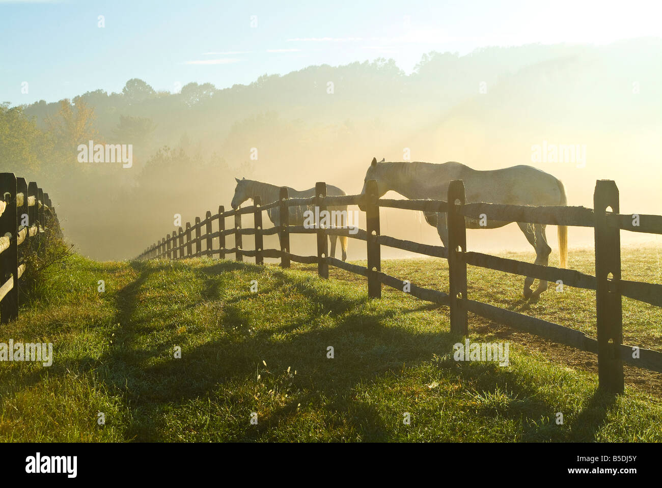 Sun rise rays hi-res stock photography and images - Alamy