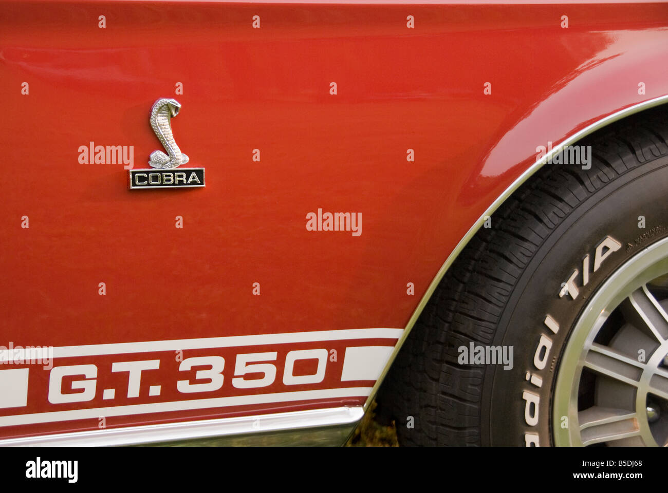 Mustang Cobra Jet Car Logo