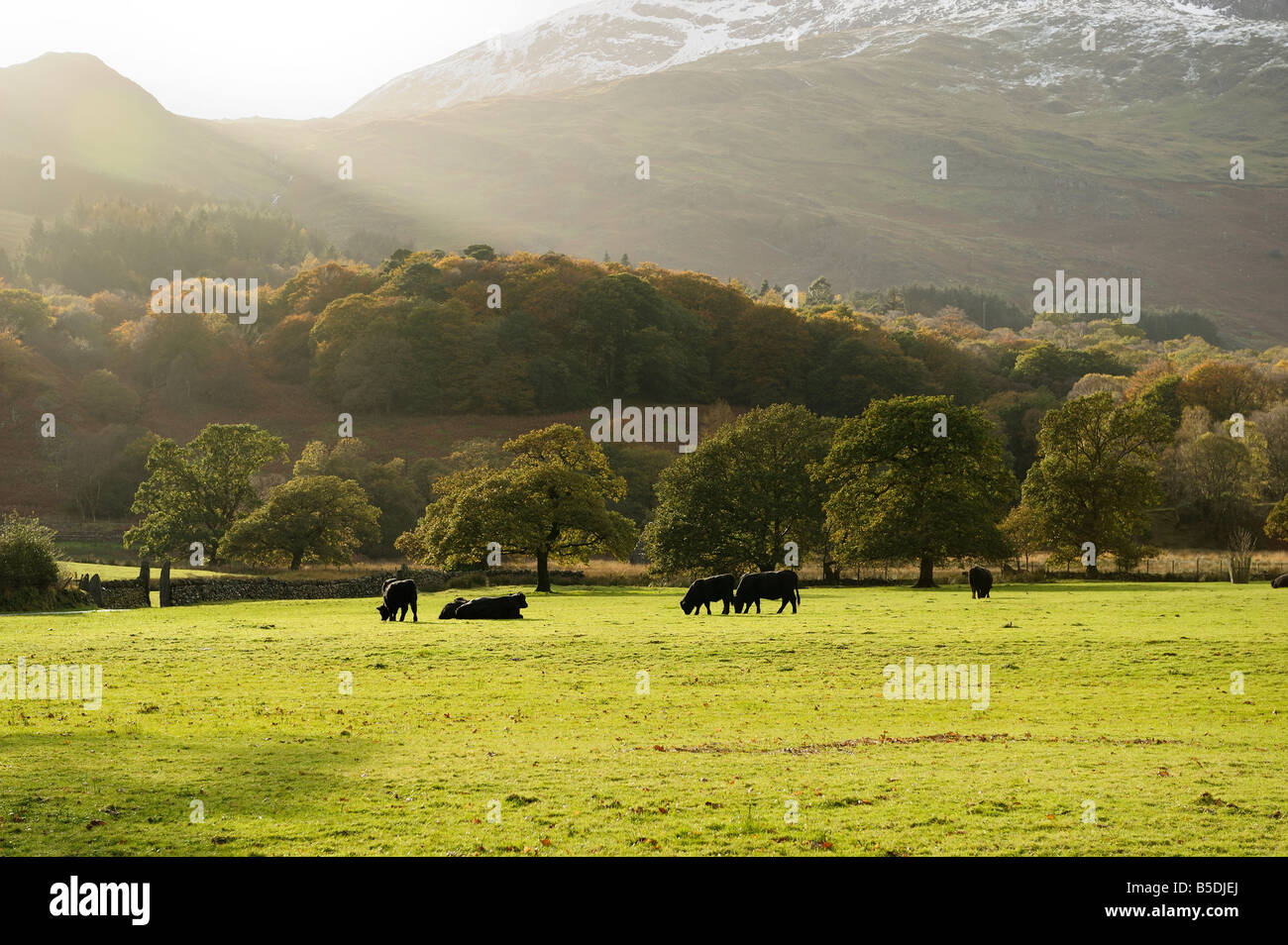 Moel Hebog Mountain High Resolution Stock Photography and Images - Alamy