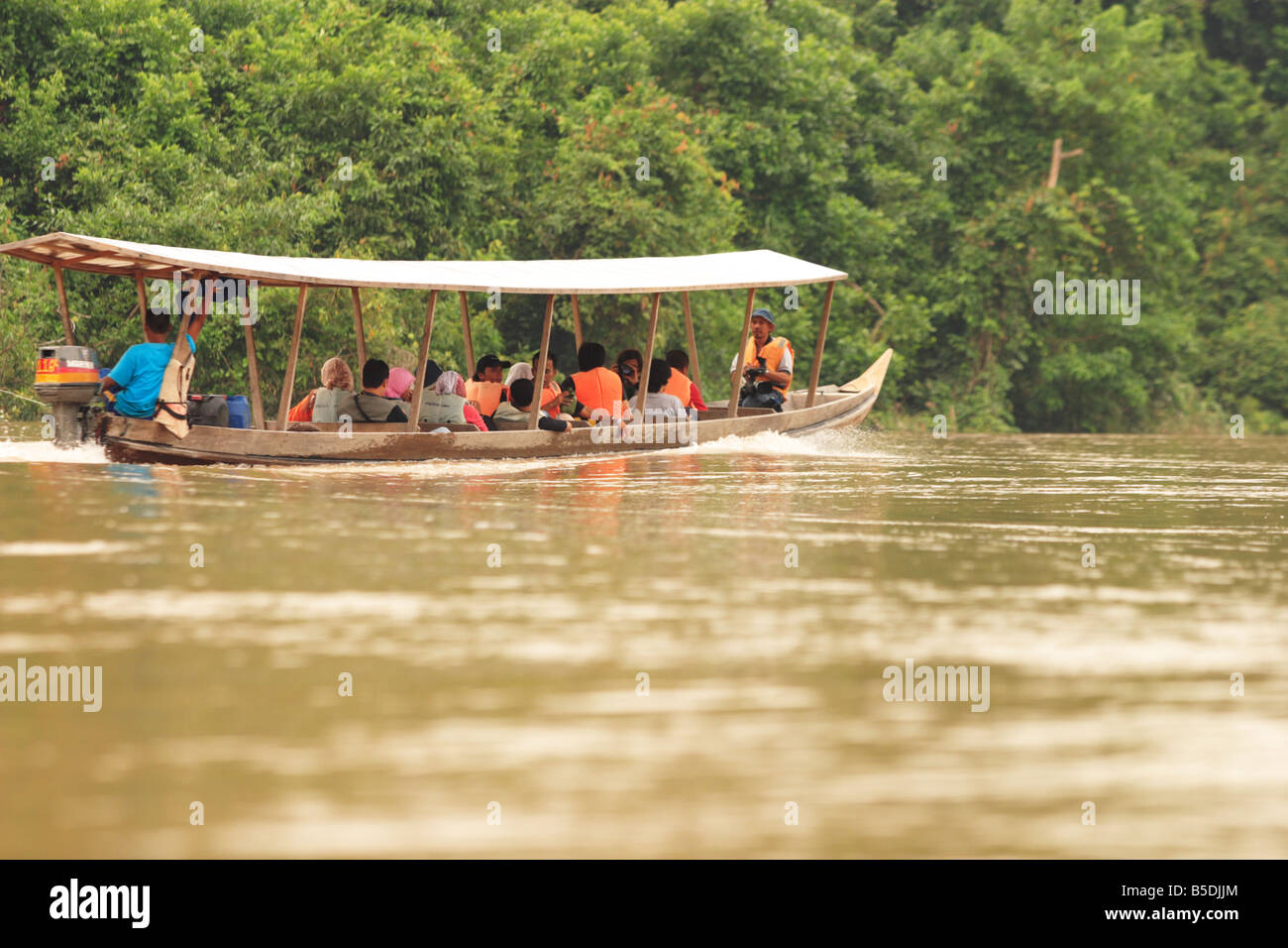 Malaysian Tropical Rainforest at Pahang National Park Stock Photo - Alamy