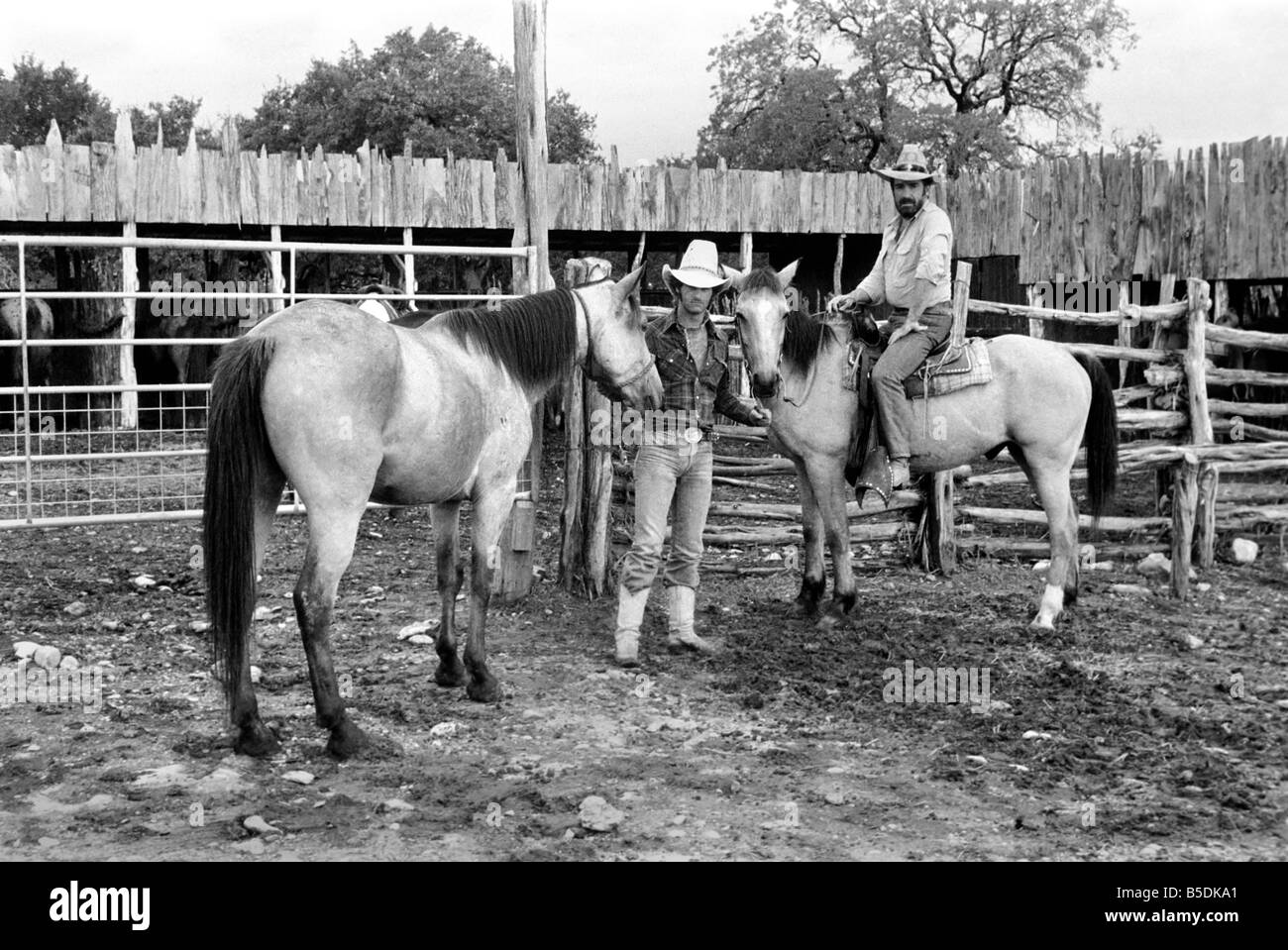 People: Cowboys with horses at a ranch in the USA. December 1980 80 ...