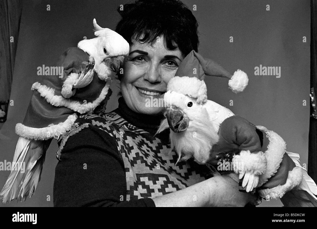 Animals: Birds: Humour: Parrots in fancy dress in humorous poses ...