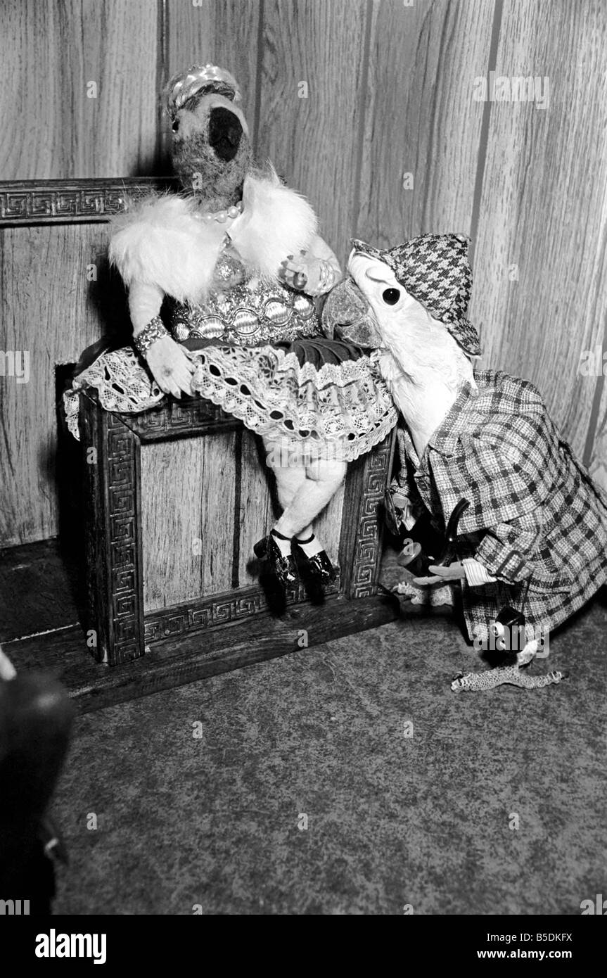 Animals: Birds: Humour: Parrots in fancy dress in humorous poses ...