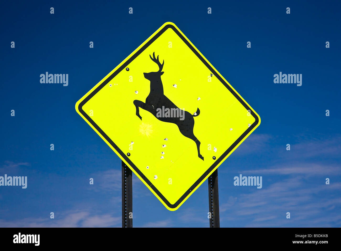 Yellow road sign deer crossing, USA Stock Photo - Alamy