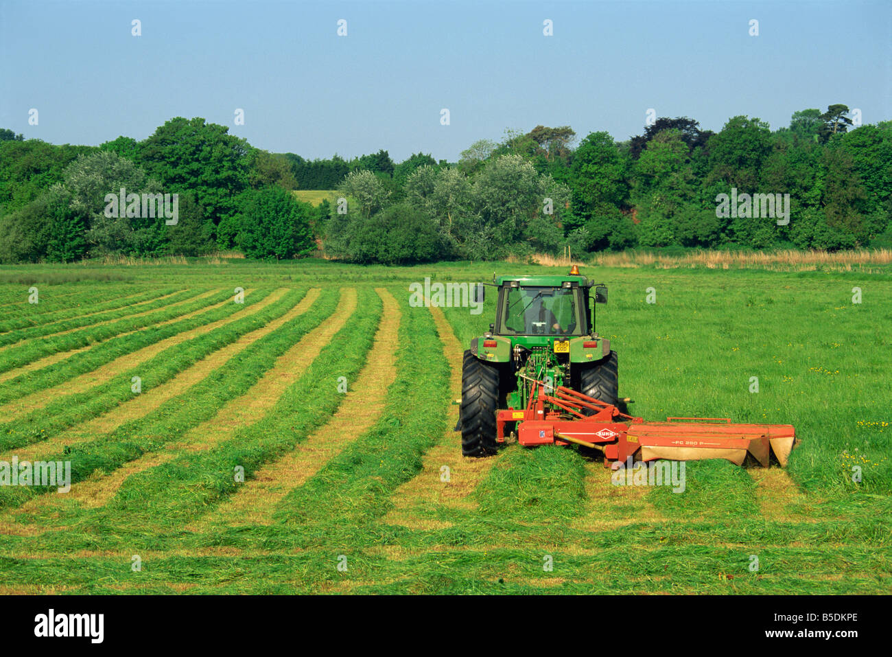 Silage cutting may hi-res stock photography and images - Alamy