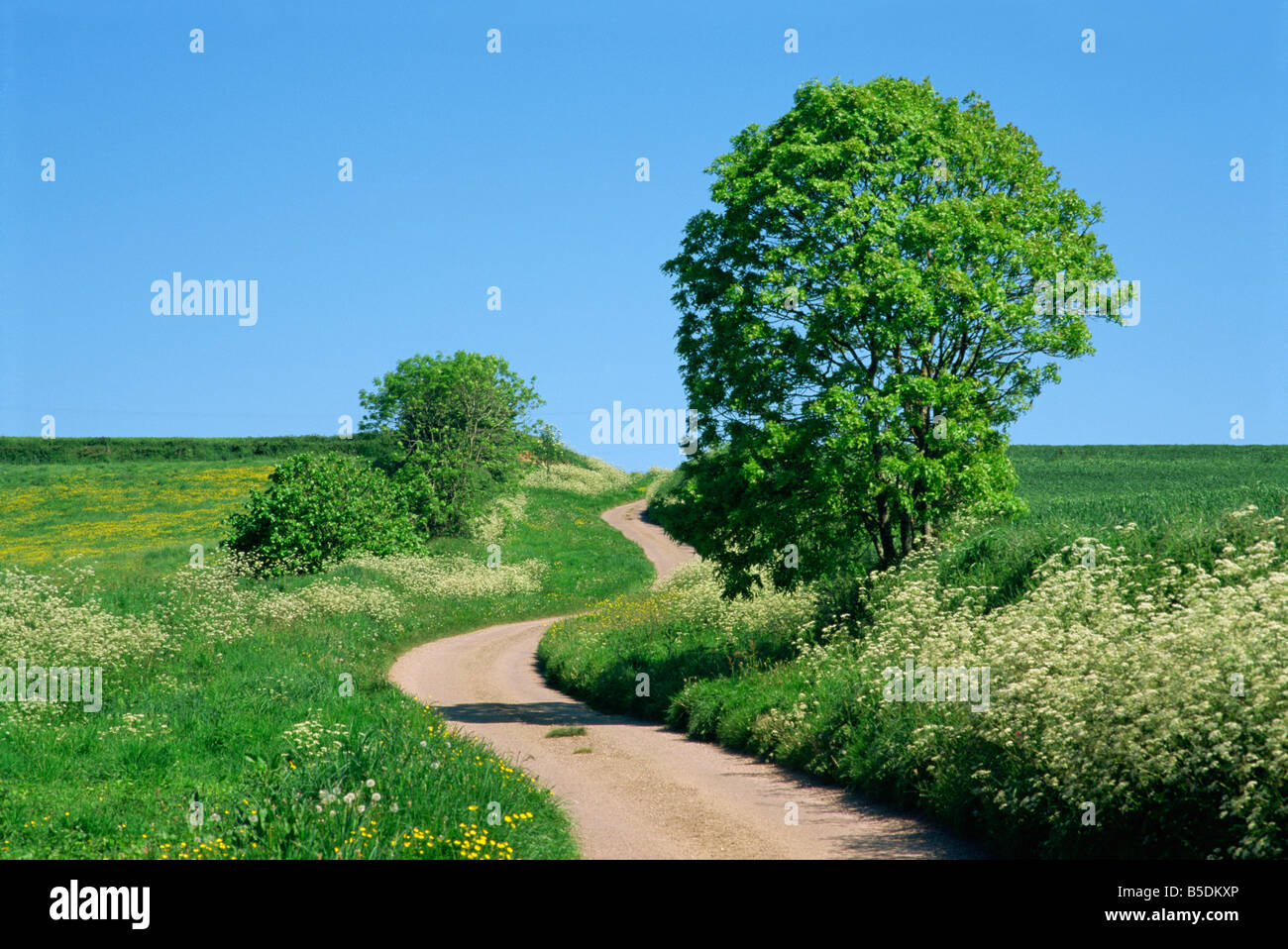 Empty road through the countryside hi-res stock photography and images ...