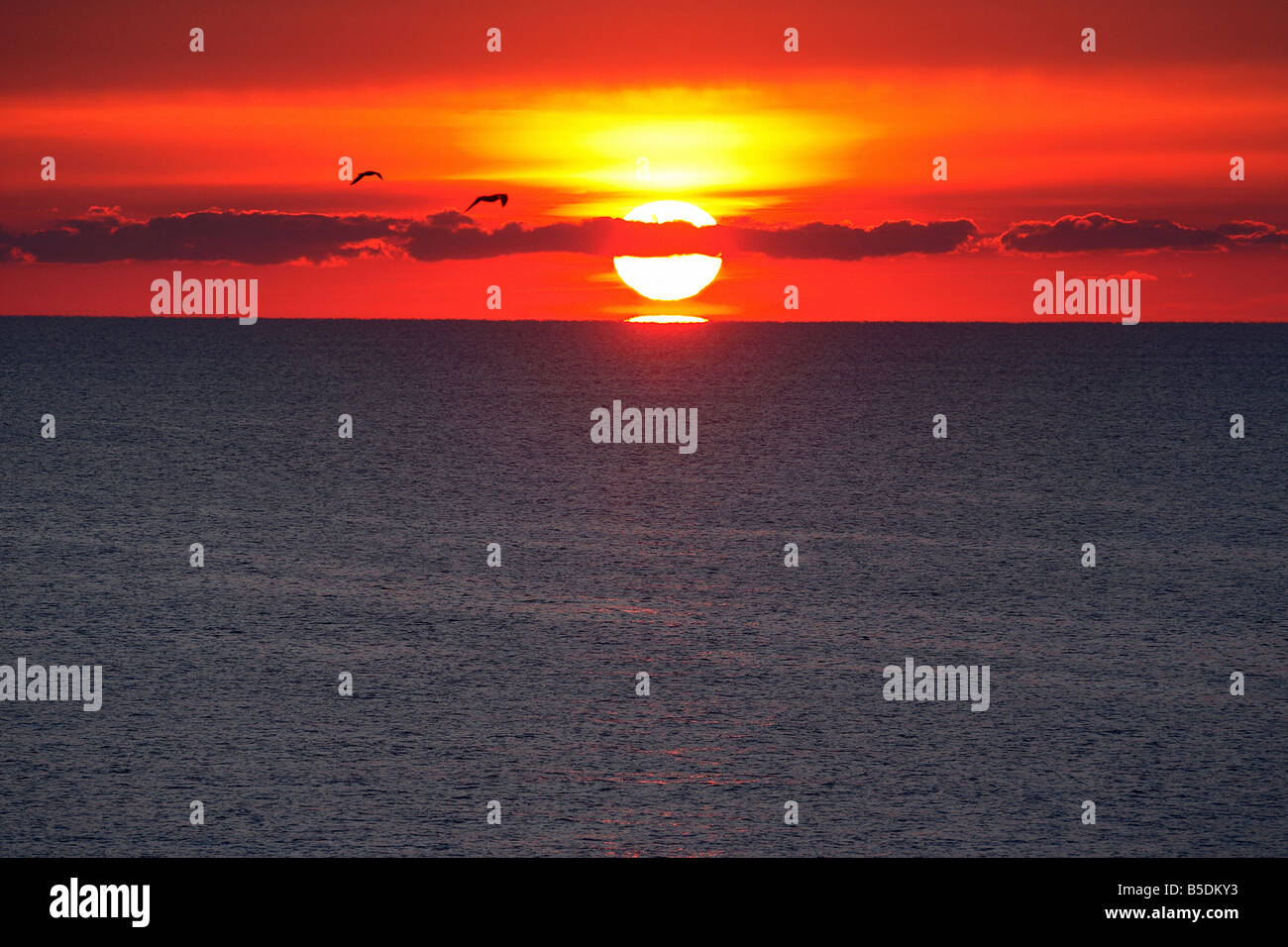 Purple sunset over sea on hi-res stock photography and images - Alamy