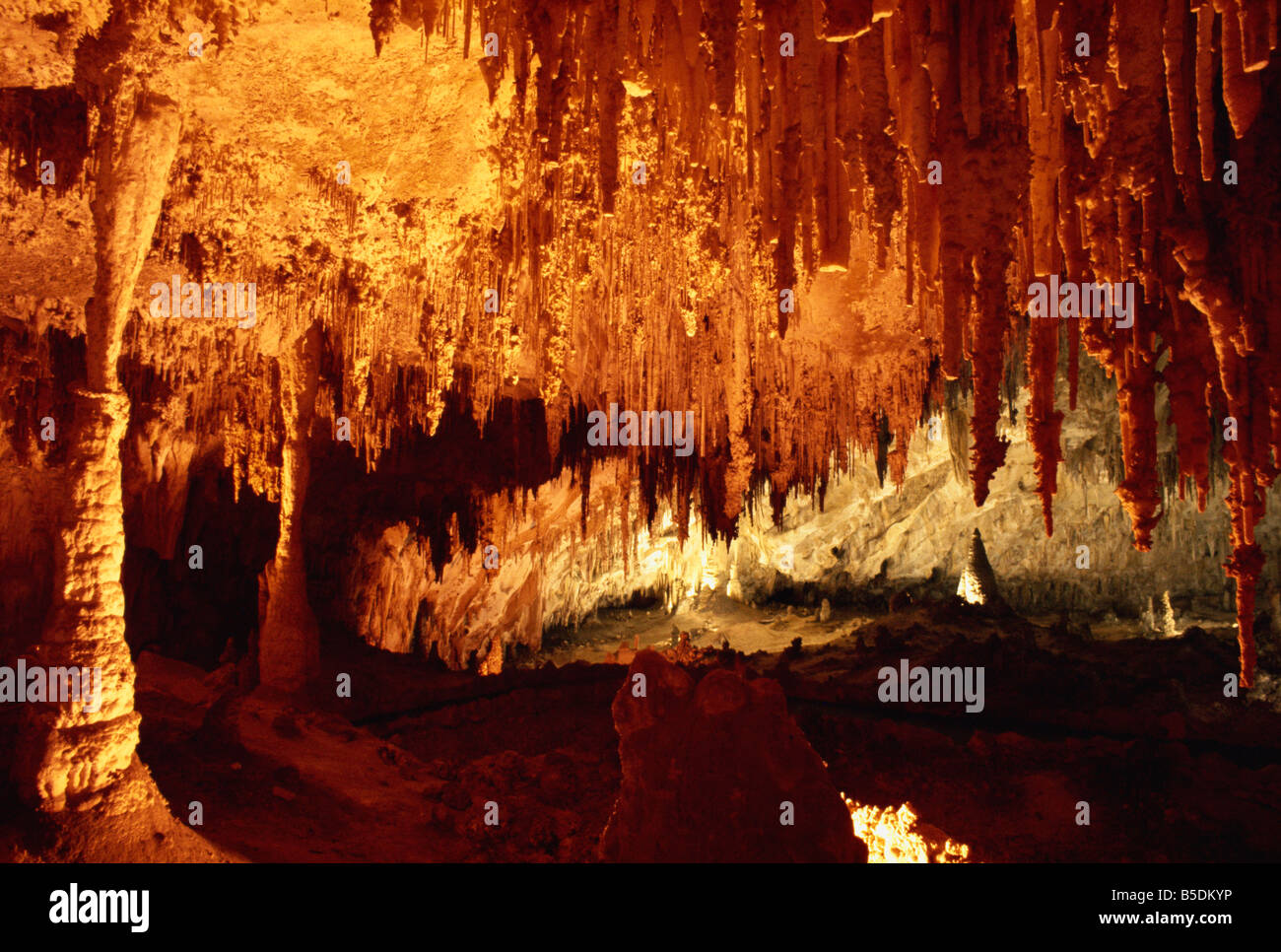 Carlsbad Caverns National Park New Mexico High Resolution Stock ...
