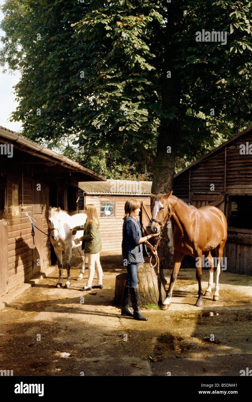 Frith Manor Livery Stables England United Kingdom Europe Stock Photo ...